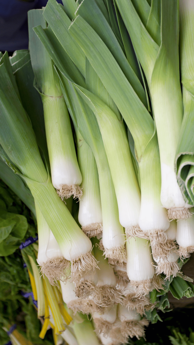 Different Types of Leeks to Grow