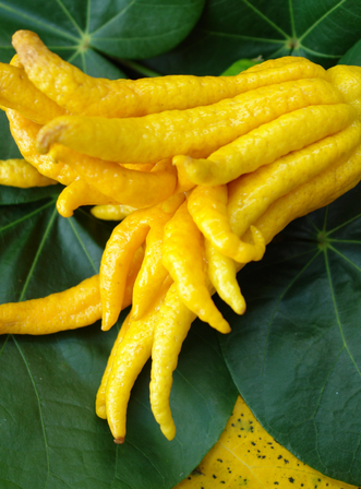 100 Different Types of Fruits: (List With Pictures)