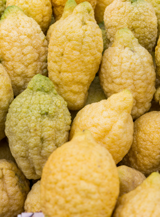 43 Types of Citrus Fruit (With Photos)