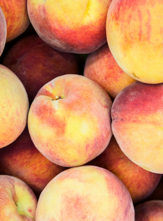 24 Types of Peach Fruit (With Photos!)