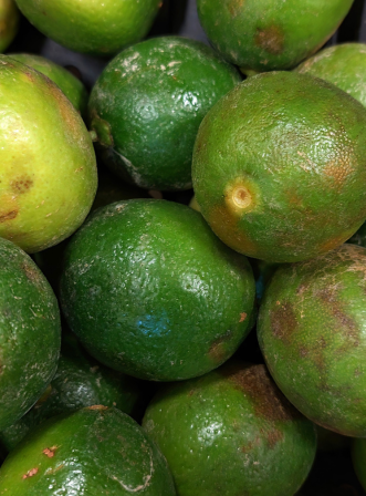 43 Types of Citrus Fruit (With Photos)